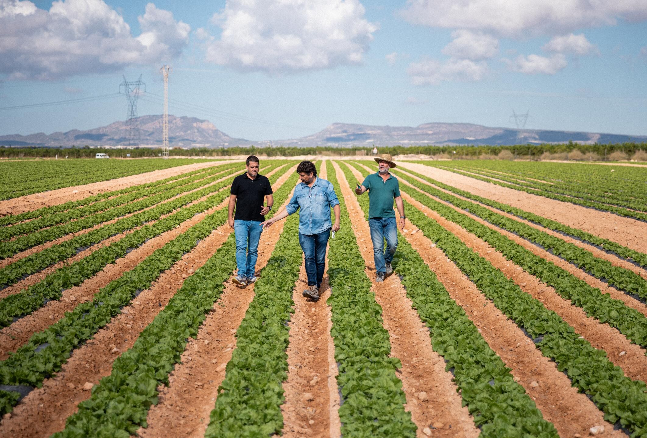 In control with Koppert: Biological crop protection since 1967